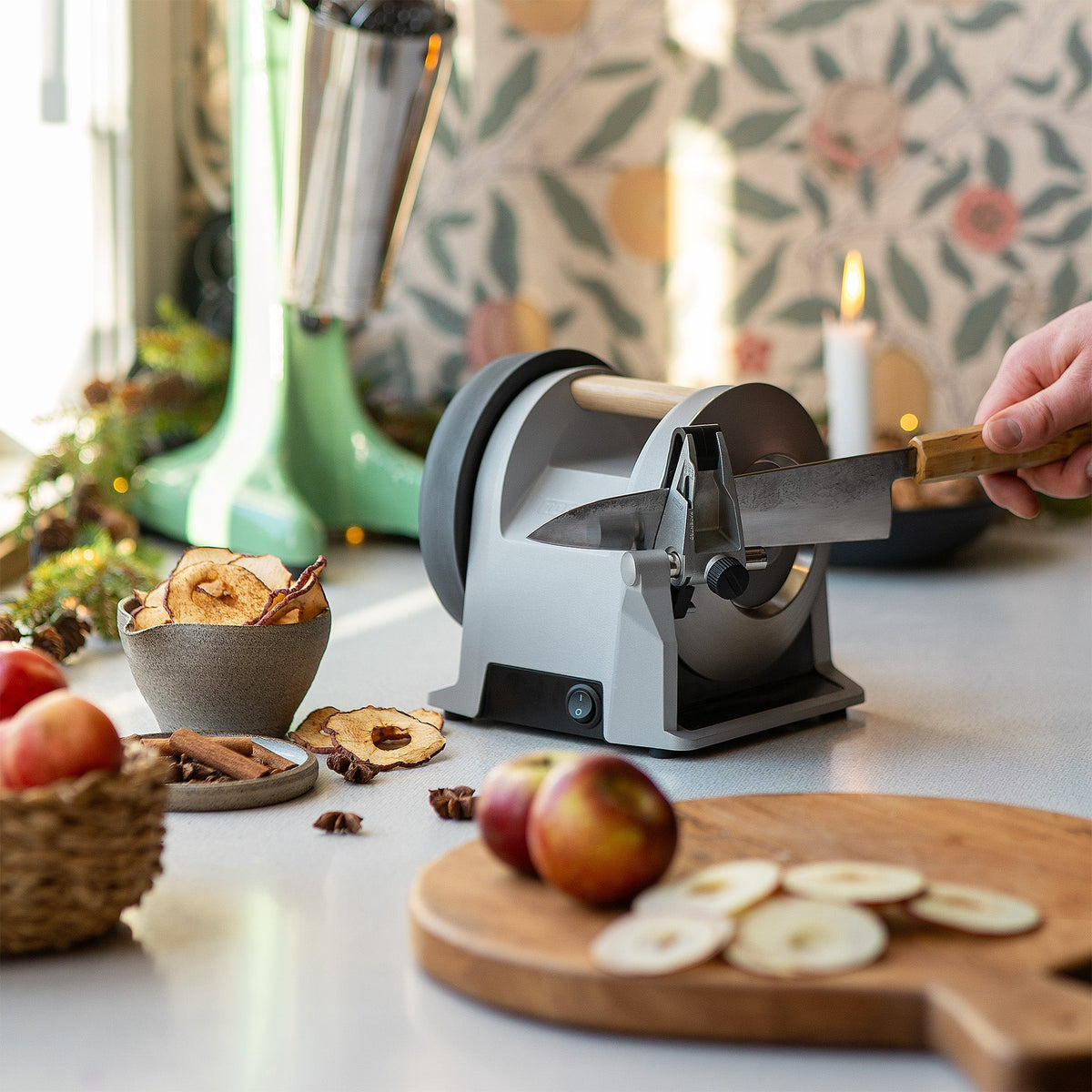 Tormek T-1 - Kitchen Knife Sharpener